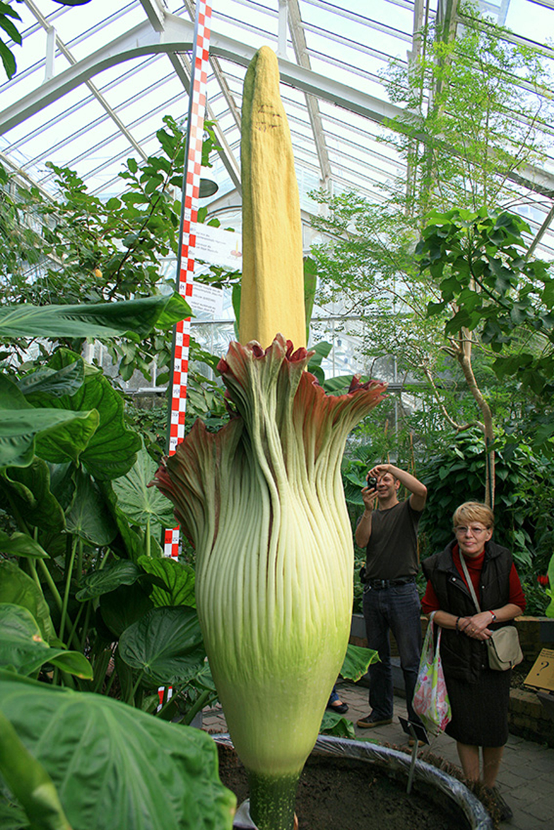 Jardin botanique Meise - Brussels Museums